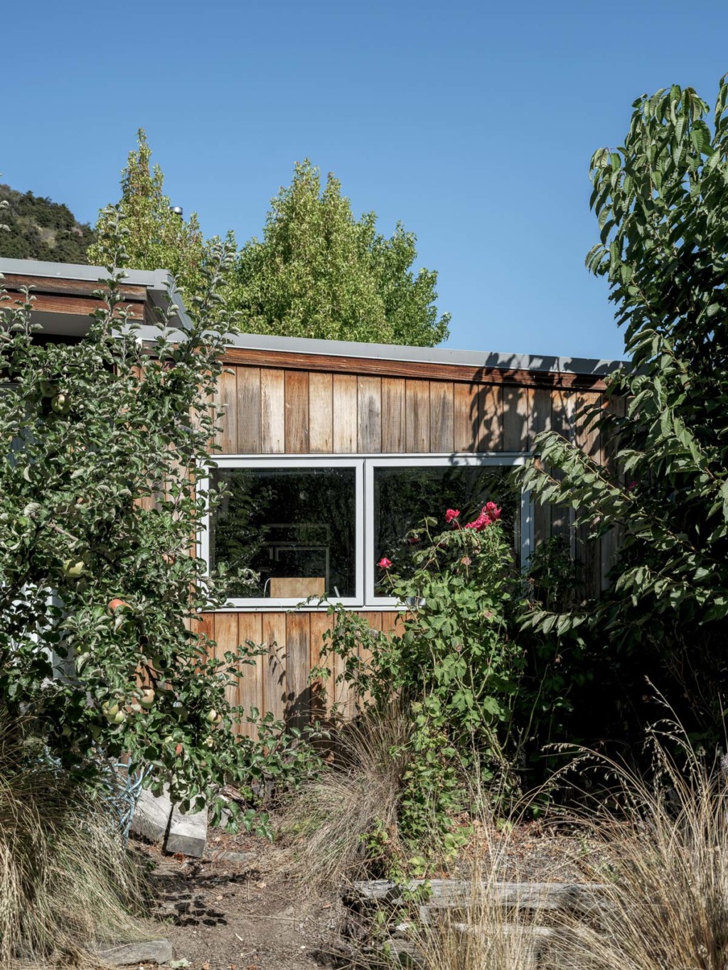Rafe Maclean Architects — Waite house